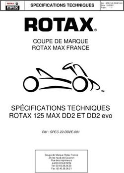 SPÉCIFICATIONS TECHNIQUES - ROTAX MAX evo /MAX RACING