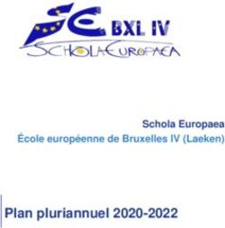 Plan pluriannuel 2020-2022 - Schola Europaea École européenne de ...
