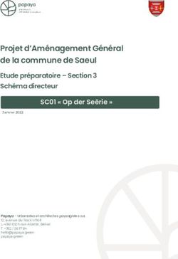 Projet d'Aménagement Général de la commune de Saeul