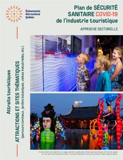 Plan de SÉCURITÉ SANITAIRE COVID-19