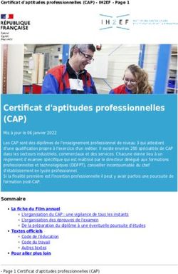 Certificat d'aptitudes professionnelles - (CAP)