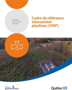 Cadre de référence Intervention pipelines (CRIP) - Ministère de la ...