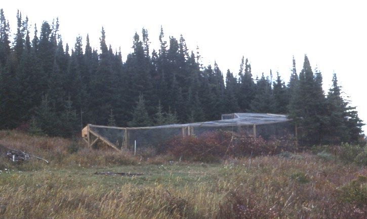 The Canadian Migration Monitoring Network - Le Réseau canadien de ...
