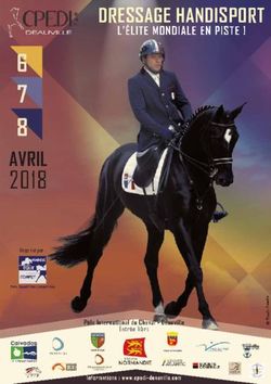 2018 AVRIL - DRESSAGE HANDISPORT L'ÉLITE MONDIALE EN PISTE ! - Handi Equi Compet